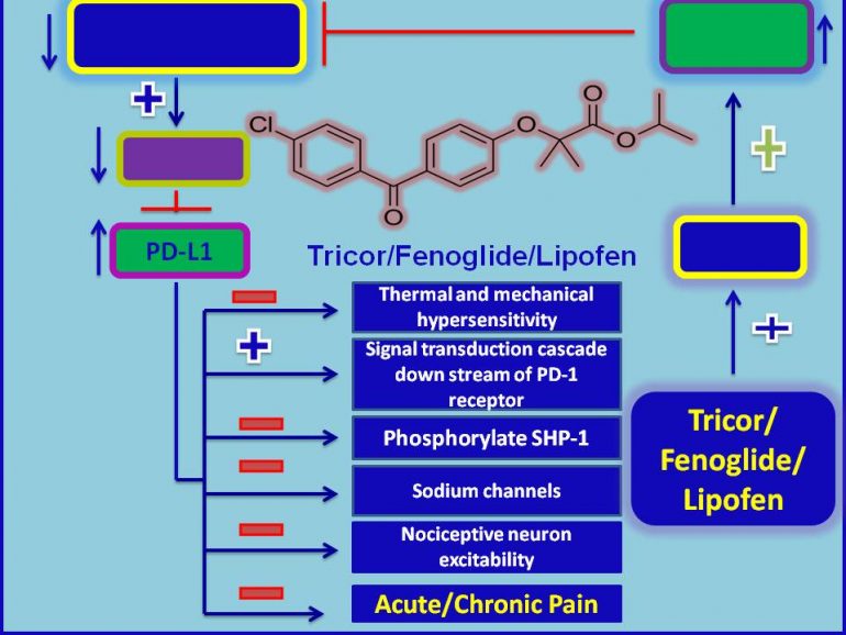 PD-1 pathway activation for Pain therapy: Lipofen/Fenoglide/Tricor, a ...