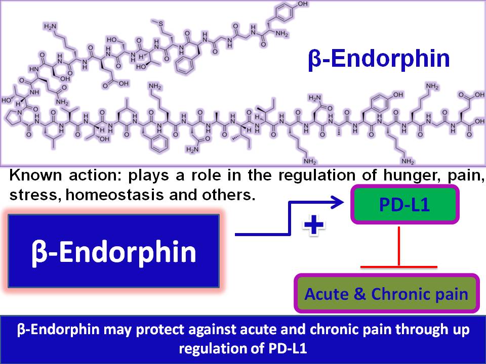 Treating pain with Endorphins: Endorphin-based activation of the PD-1 ...