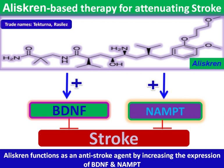 Repurposing the anti-hypertensive agent into a stroke medicine ...