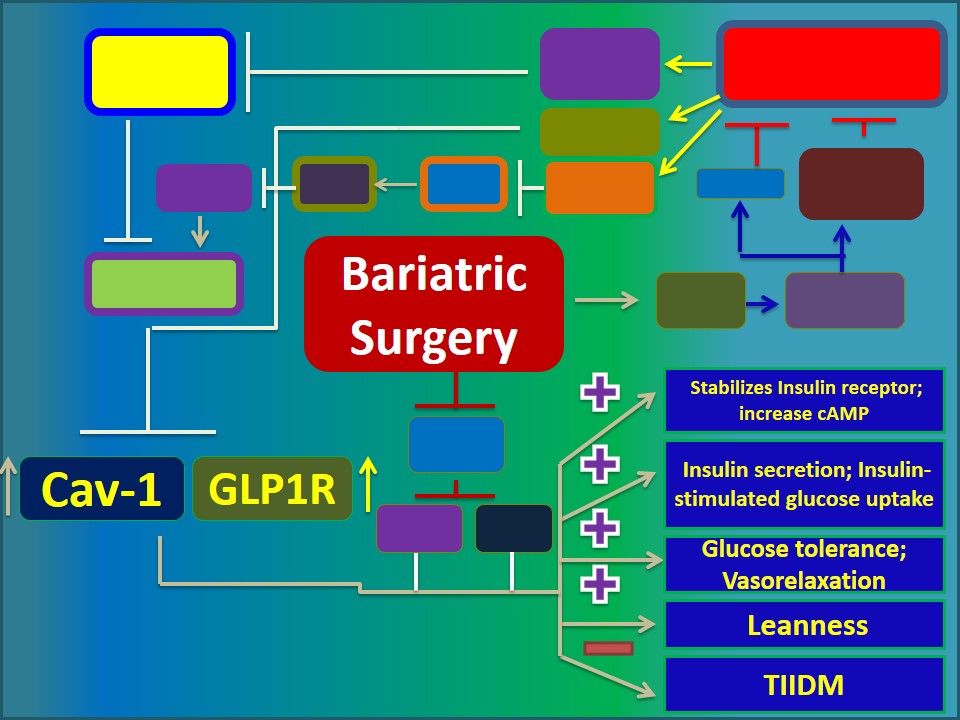 Alleviating Diabetes with Bariatric surgery: Bariatric surgery ...